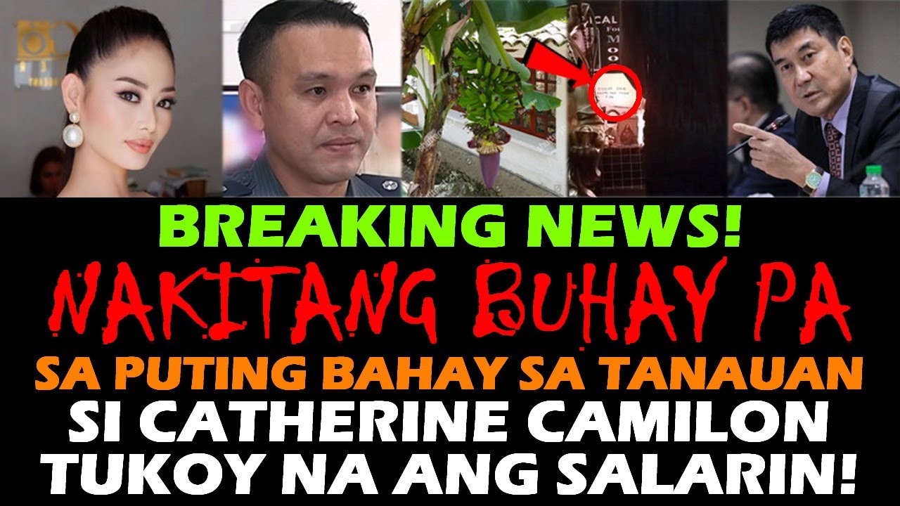 CATHERINE CAMILON LATEST UPDATE NAKITANG BUHAY PA! LEGAL WIFE ALLAN DE ...