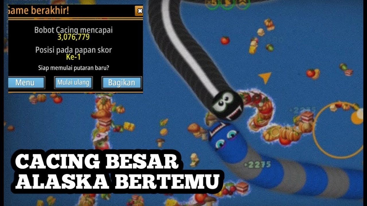 Jebak Cacing Alaska || 3.000.000.00 SCORE tanpa CHEAT LANGSUNG ...