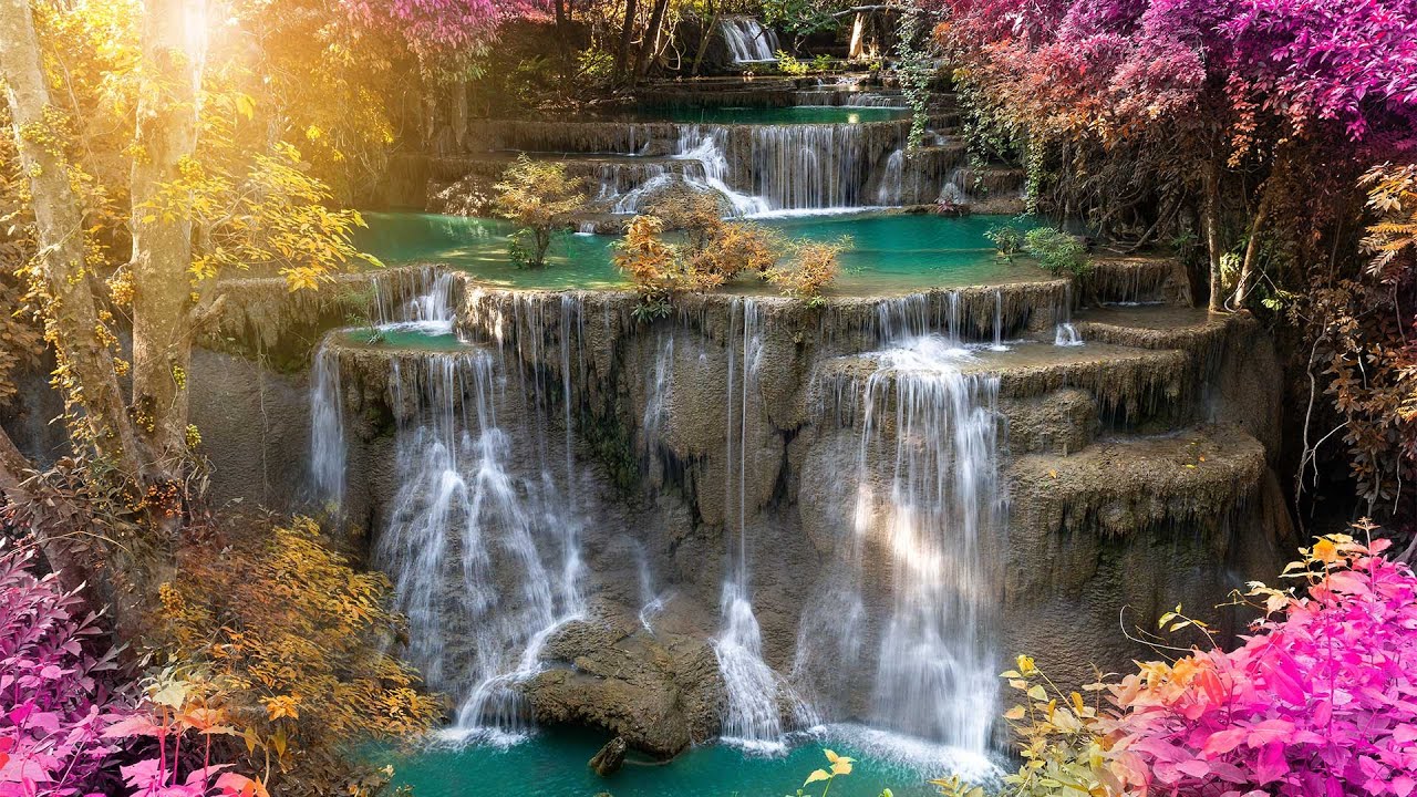 Relaxing Music with Birds Singing 🌿 Beautiful Piano Music & Guitar ...