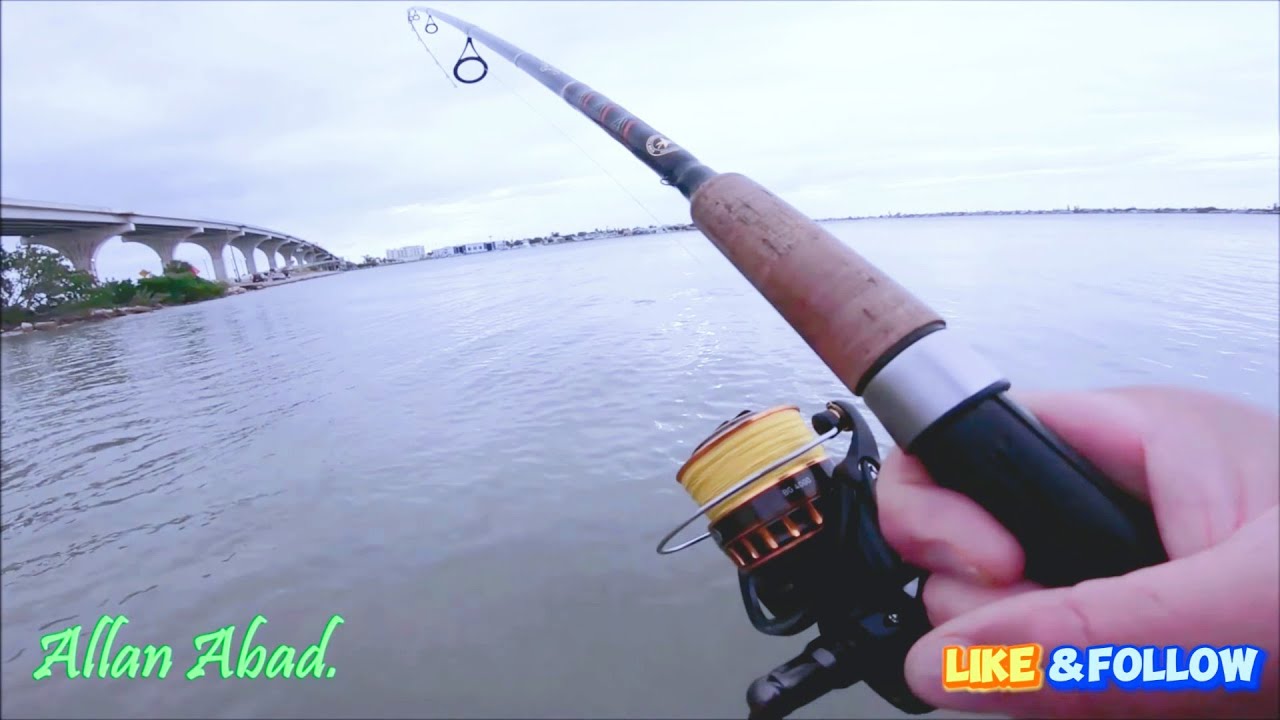 ASI PESCO EN DISTINTOS LUGARES DE LA BAHIA DE TAMPA\\Allan Abad - YouTube