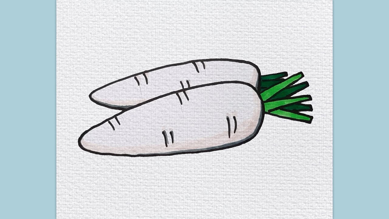 How to Draw a Radish Step by Step | Easy Radish Tutorial for Beginners ...