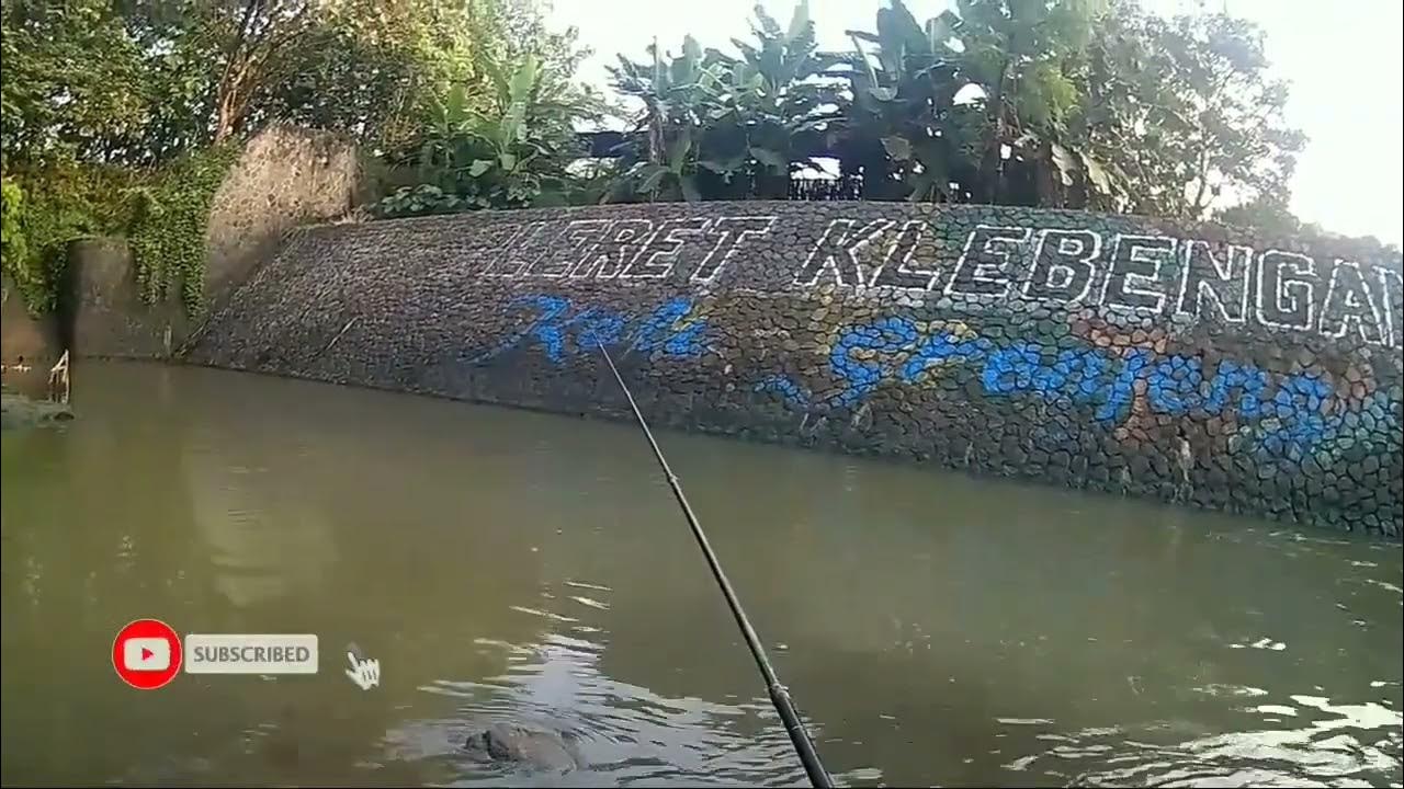 mancing ikan lokal kepek atau wader sirip kuning - YouTube
