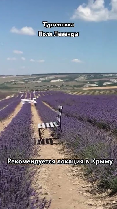 Лавандовые поля в Тургеневке Крым крым россия природа Travel
