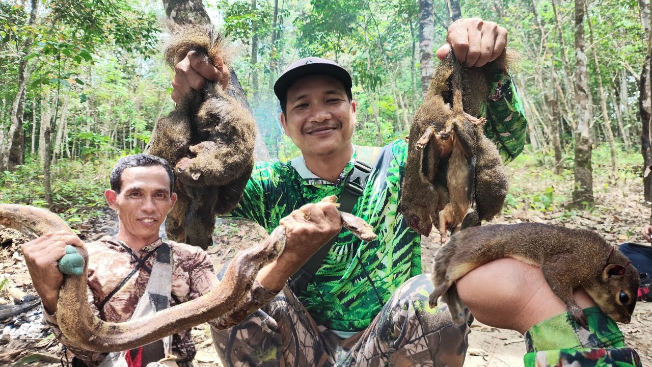 Berburu tupai || Hunting, Dapat ular ripung - YouTube
