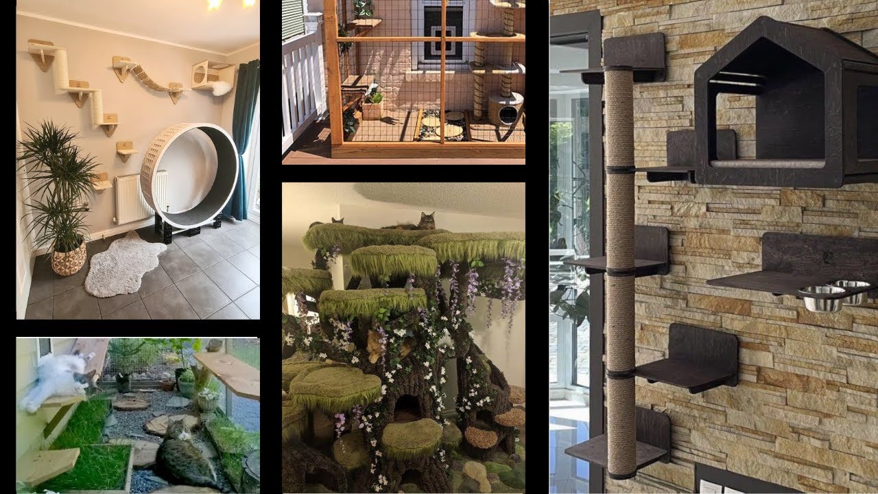 How To Build A Indoor Cat House at Liam Vince blog