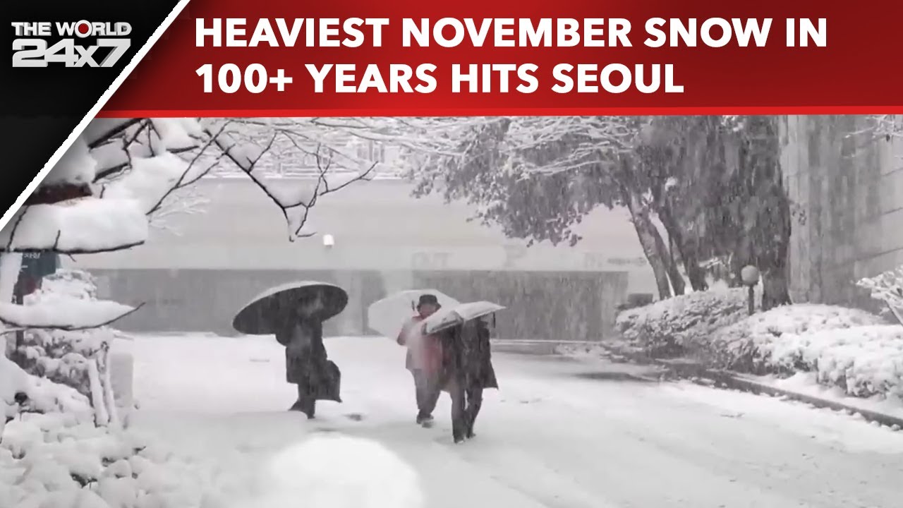 South Korea Snowfall | Heaviest November Snow In Over 100 Years In ...
