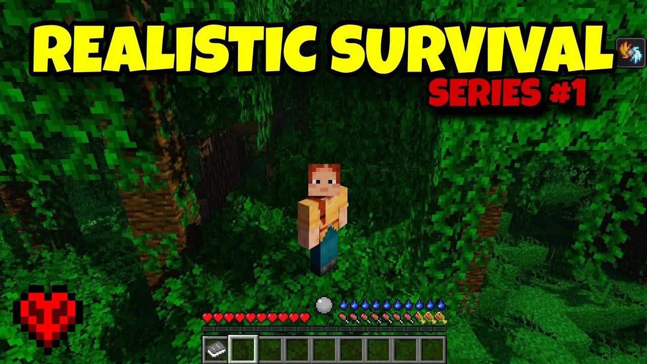 MINECRAFT REALISTIC SURVIAL SERIES #1 😎 MINECRAFT SURVIVAL SERIES DAY 1 ...