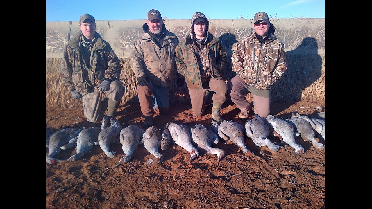 2014-2015 Sandhill Crane Hunts - YouTube