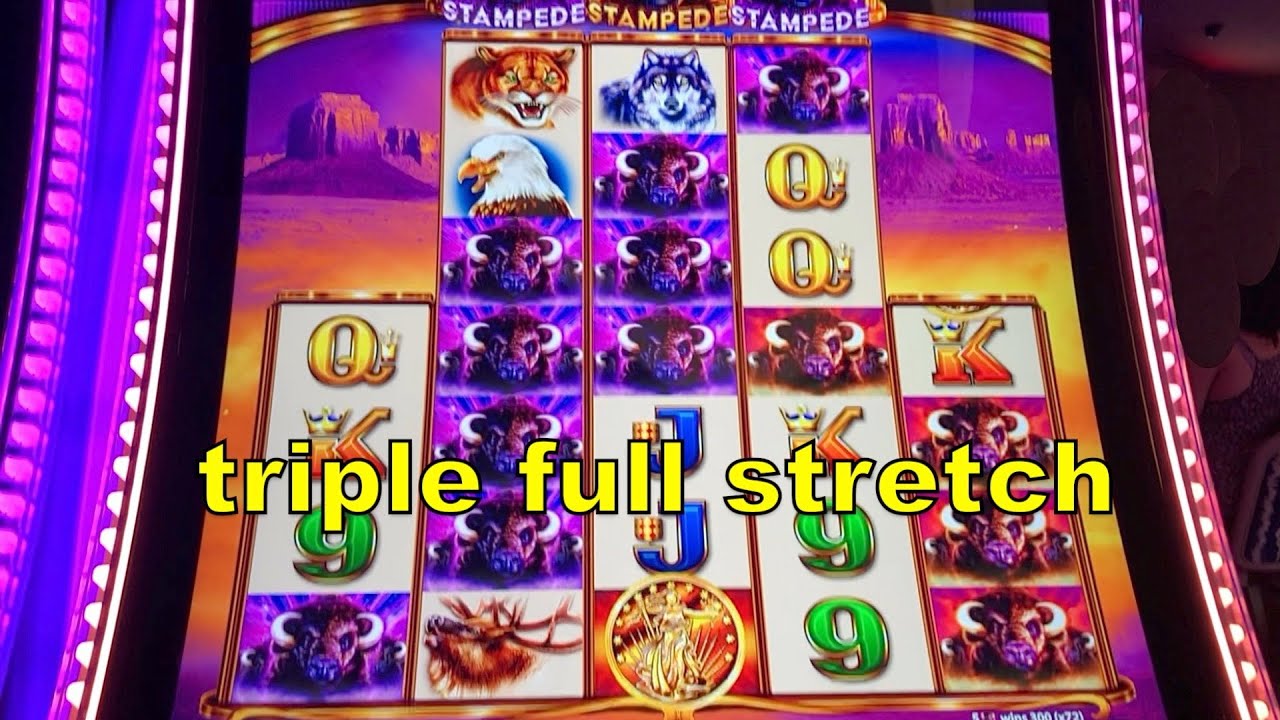 STAMPEDE !!! Buffalo Ascension Slot Machine @cosmopolitanlasvegas - YouTube