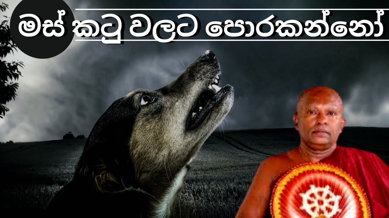 මස් කටු වලට පොරකන්නෝ | Waharaka abayarathanalankara thero bana | Bana ...