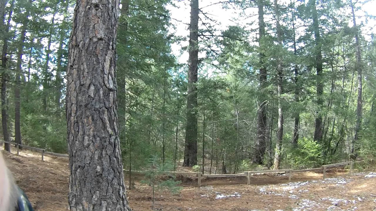 Potential field trip location at Penny Pines Campground - YouTube