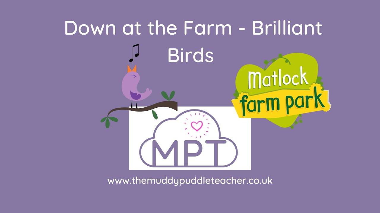 Brilliant Birds - Year 1 Science Unit - YouTube