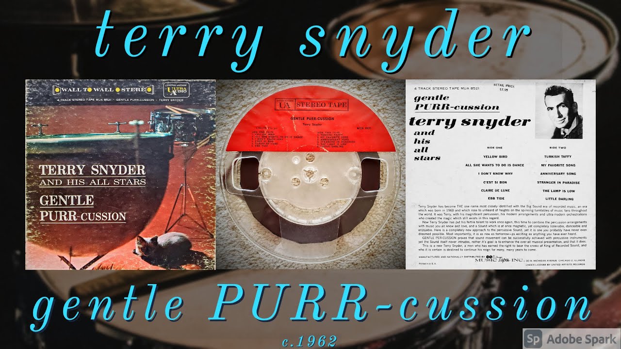 Terry Snyder - My Favorite Song - YouTube