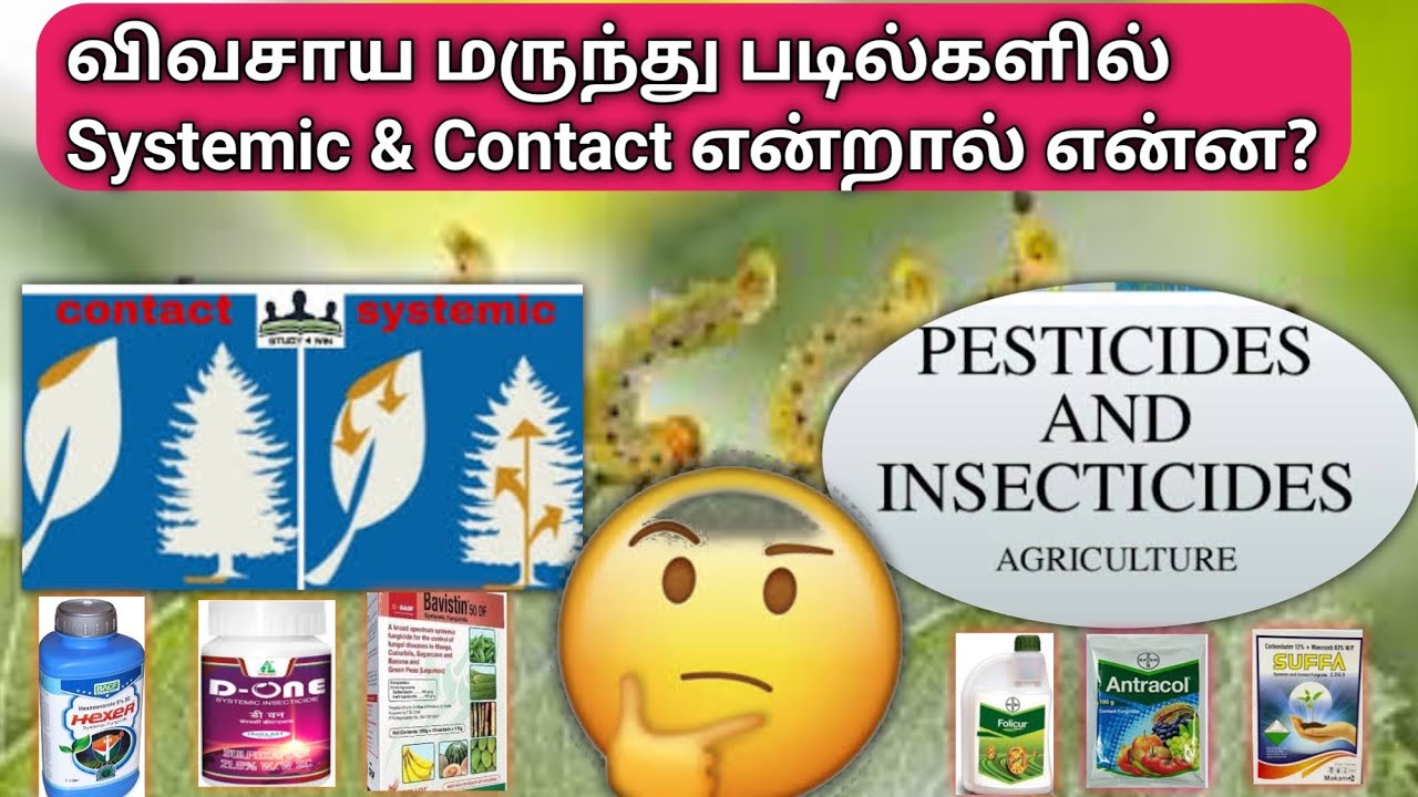 மருந்துகளில் Systemic, Contact, Pesticides & Insecticides என்றால் என்ன ...