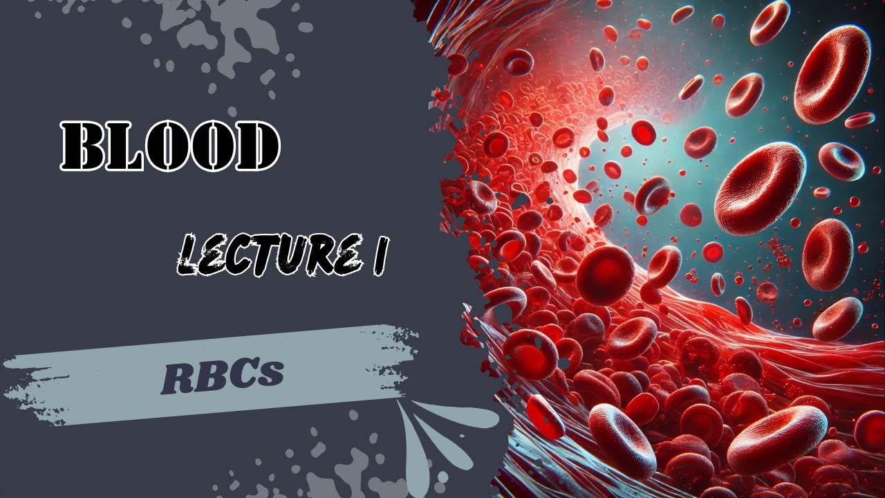 Lecture 1 Rbcs - YouTube
