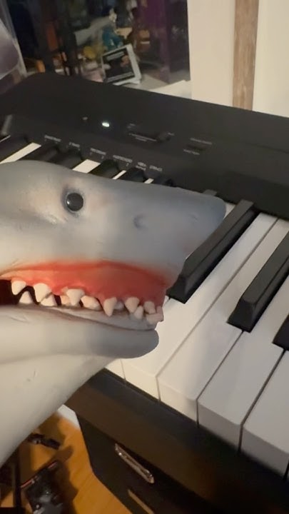 Shark Puppet Plays Piano Beautifully - YouTube