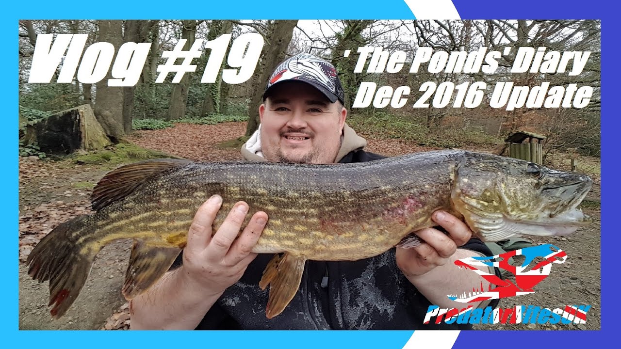Vlog #19 - 'The Ponds Diary' (Dec 2016 Update) Pike Fishing ...