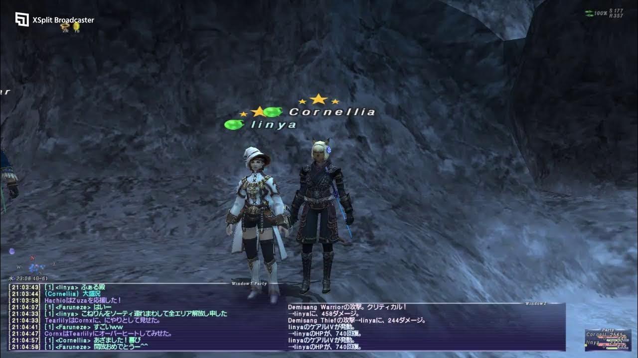 FF11 ヌコの日常 in Bis ～ソーティにつれて行ってもらうヌコ～ - YouTube