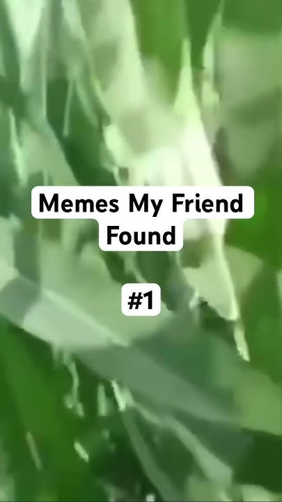 Memes my friend showed me (1) #shorts #memes - YouTube
