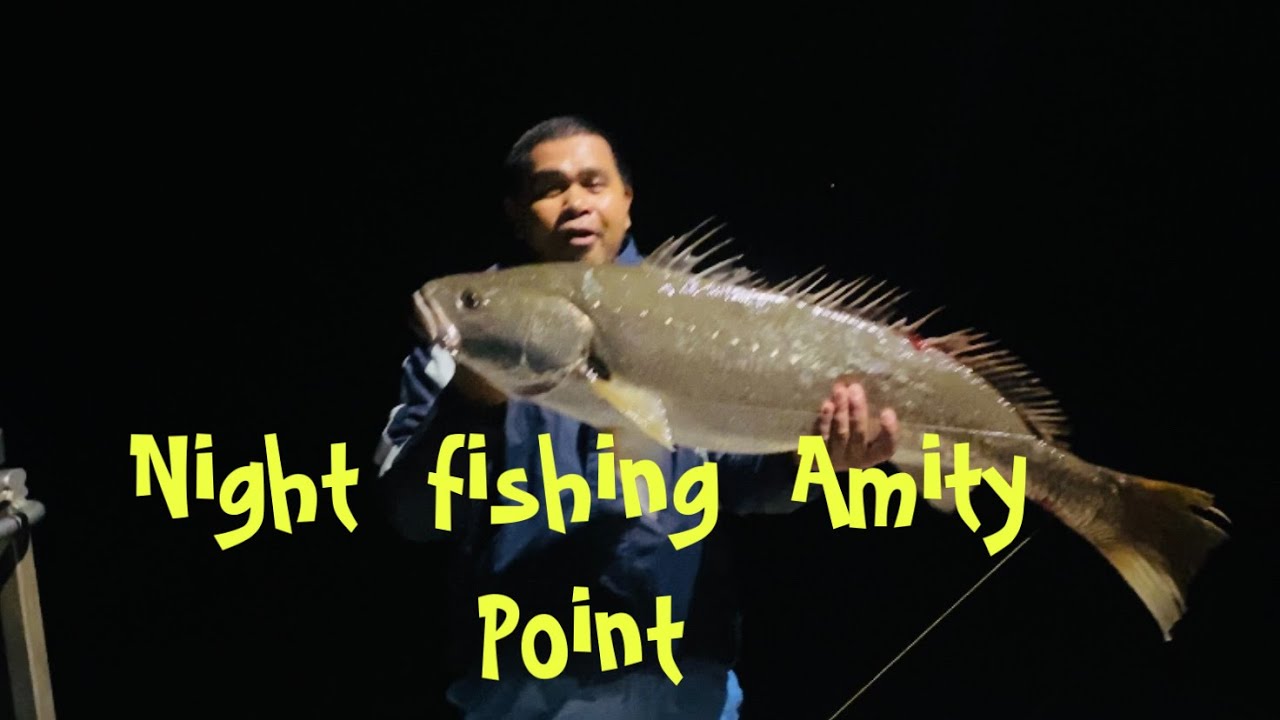 Giant Mulloway, Night Fishing at Amity Point @ Ena's Oz Life - YouTube