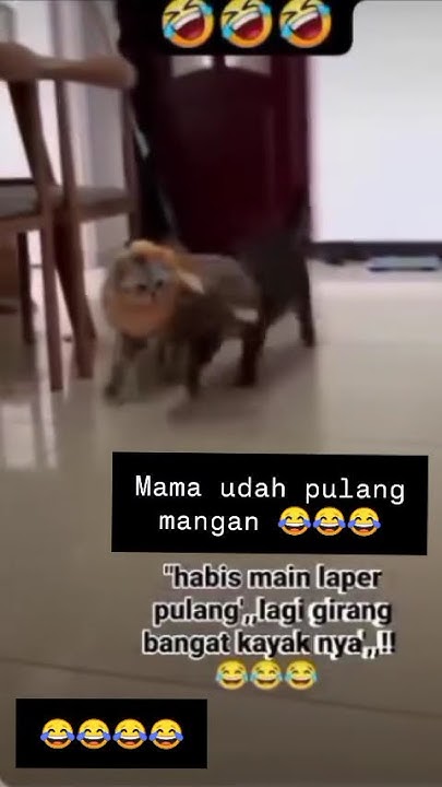 #berandayoutube #funny #harusberanda #shortvideo #memes #memecringe #ngakak #memengakakkocak # ...