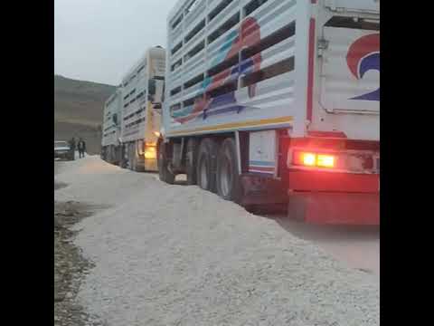 dıla megrên jı koçera