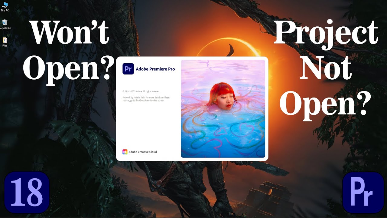 How to open a premiere pro project and optimize premiere panels in ...