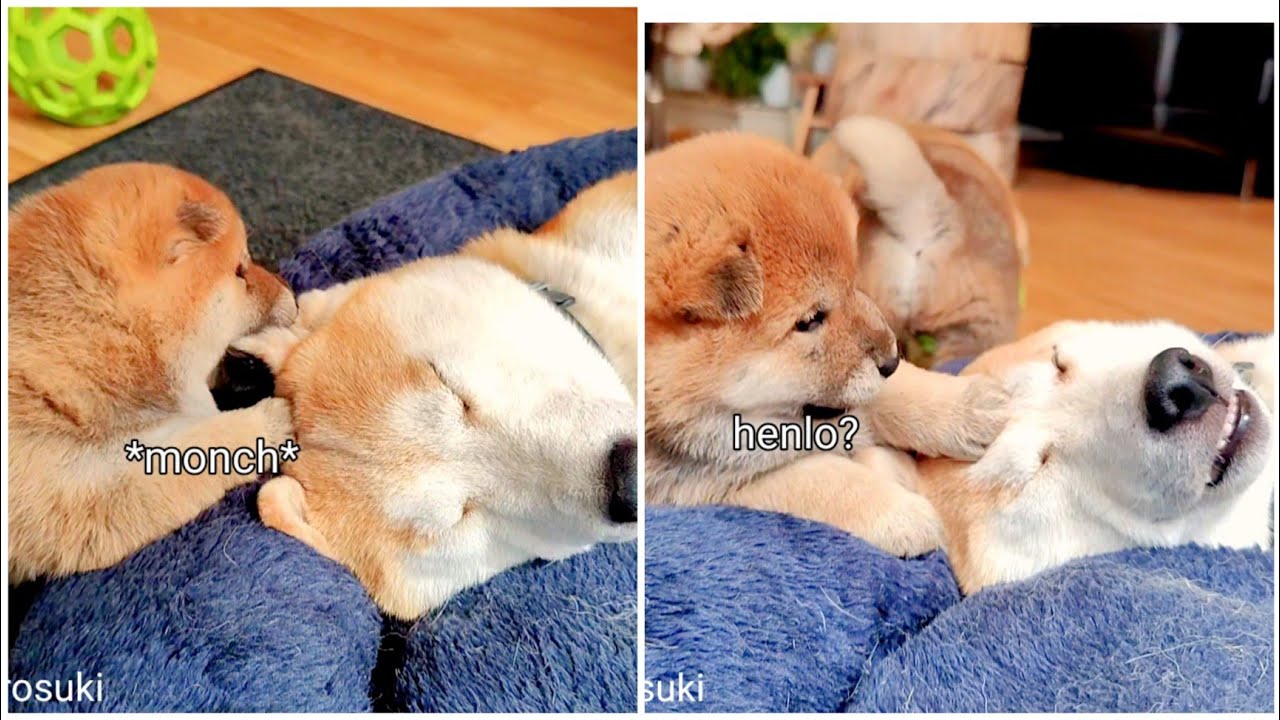 Mom's Patience is Next Level! 😖 - YouTube