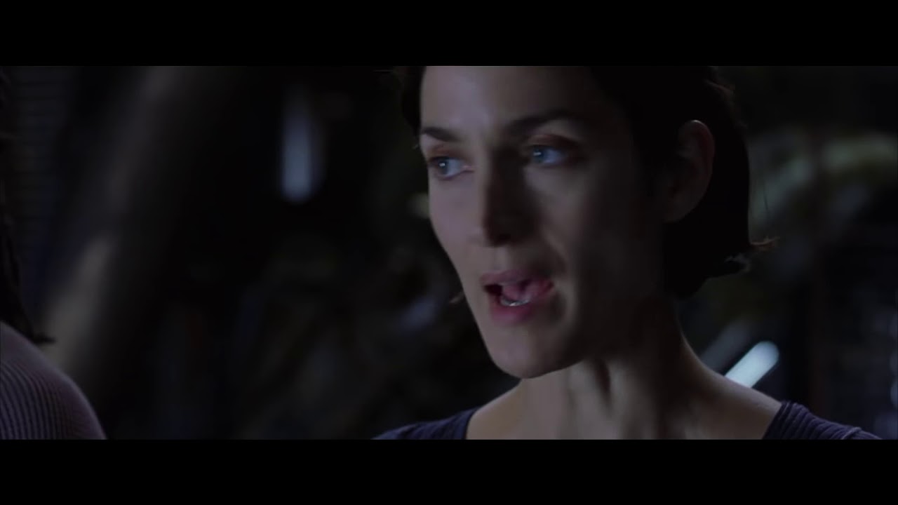 Matrix Reloaded Neo Vs Agent Smith's Multiply 4K YouTube - YouTube