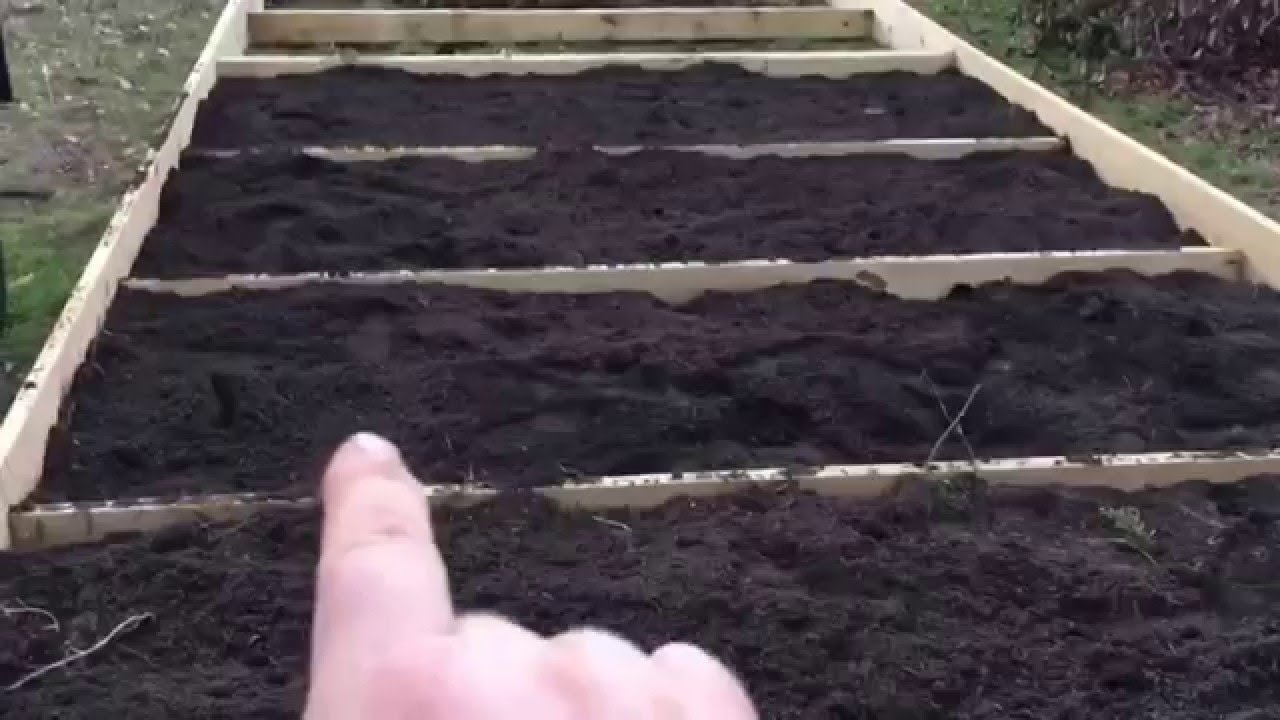 Quail Aviary Construction - Part 1 - YouTube