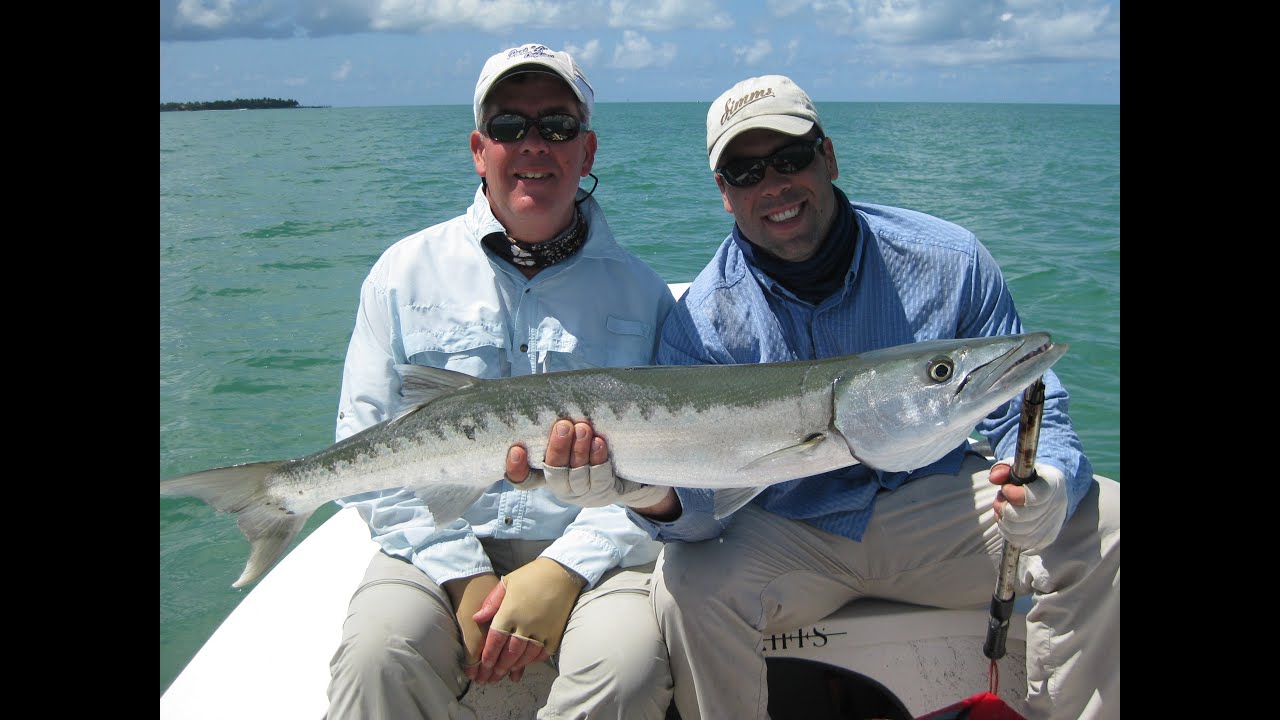 Barracuda Fishing In The Lower Keys - YouTube