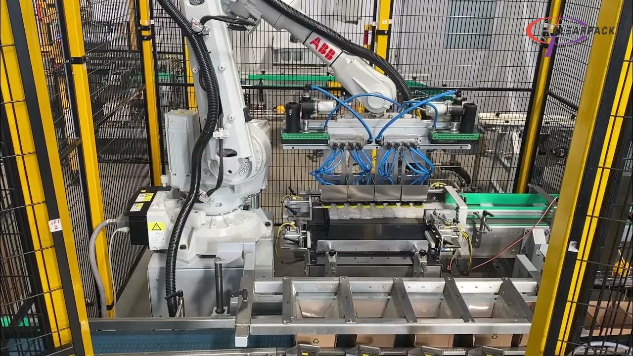Industrial Robot Case Packer for Food Pouch | Clearpack - YouTube