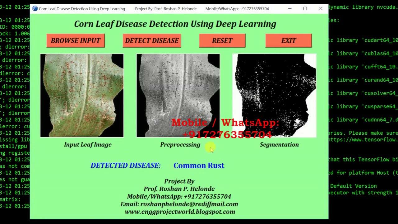 Python Code for Corn Plant Disease Detection Using Deep Learning Full Source Code IEEE Projects ...