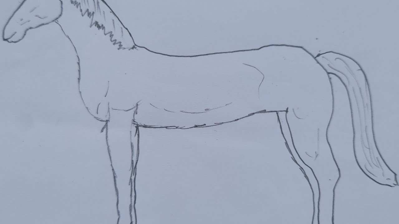 how to draw a horse easily/ pencil drawing/ Ghode Chitra - YouTube