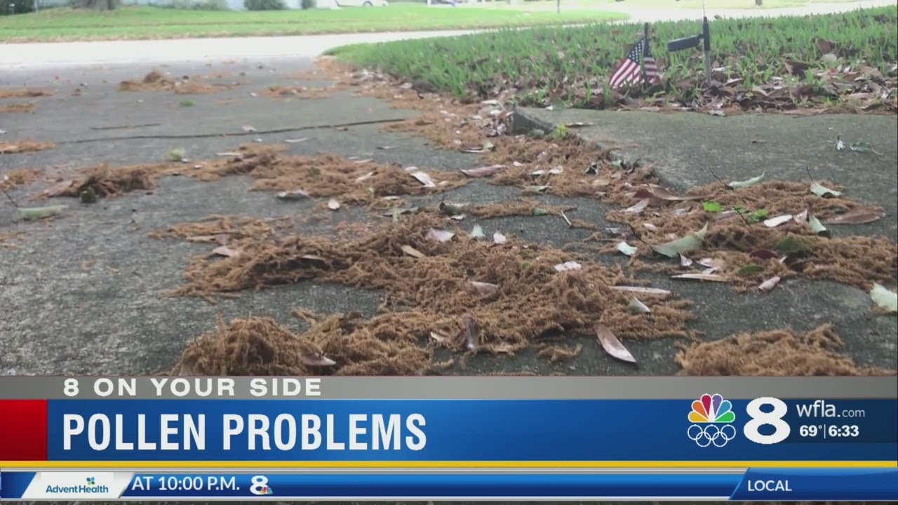 Sneezing and Wheezing? Pollen season is here and expected to get worse ...