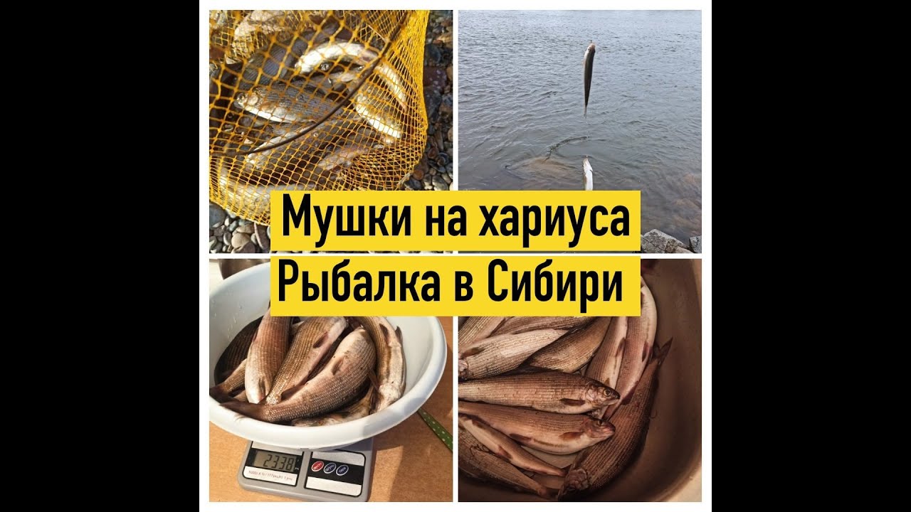 Розыгрыш набора мушек для ловли хариуса от группы вк "Мушки на хариуса ...