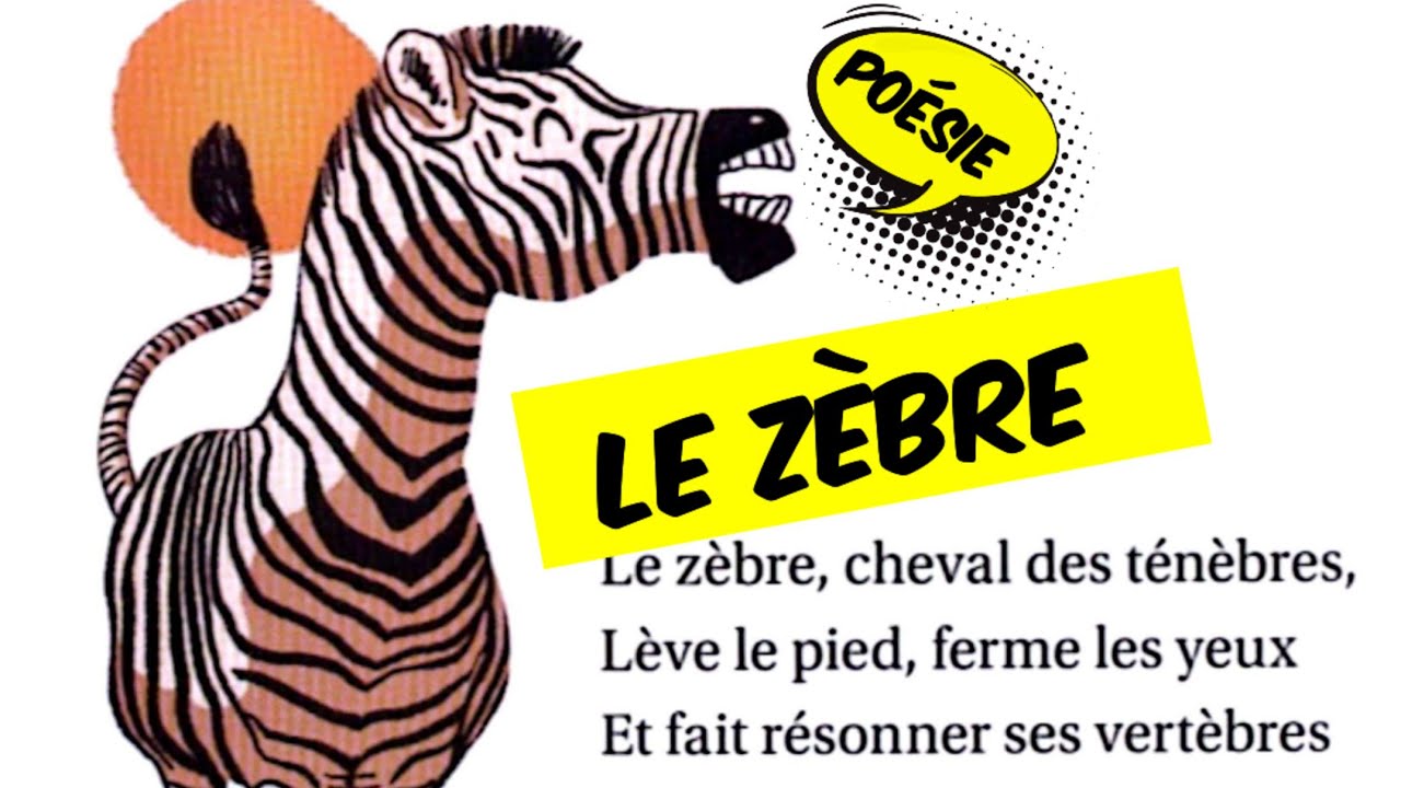 Le zèbre ( poésie ) - YouTube
