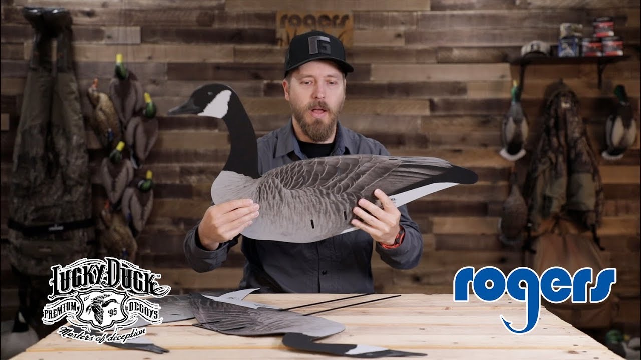 Lucky Duck Lucky HD Goose Silhouettes - YouTube