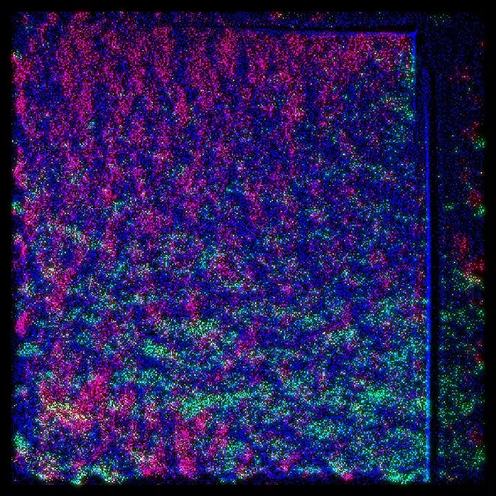 2D Boids flocking explorations - YouTube