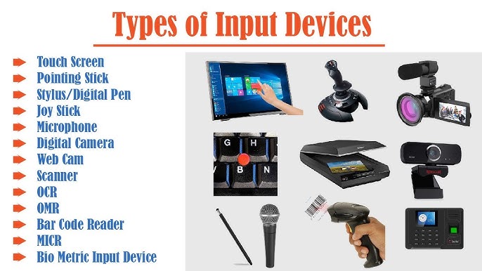 Examples Of Input Devices