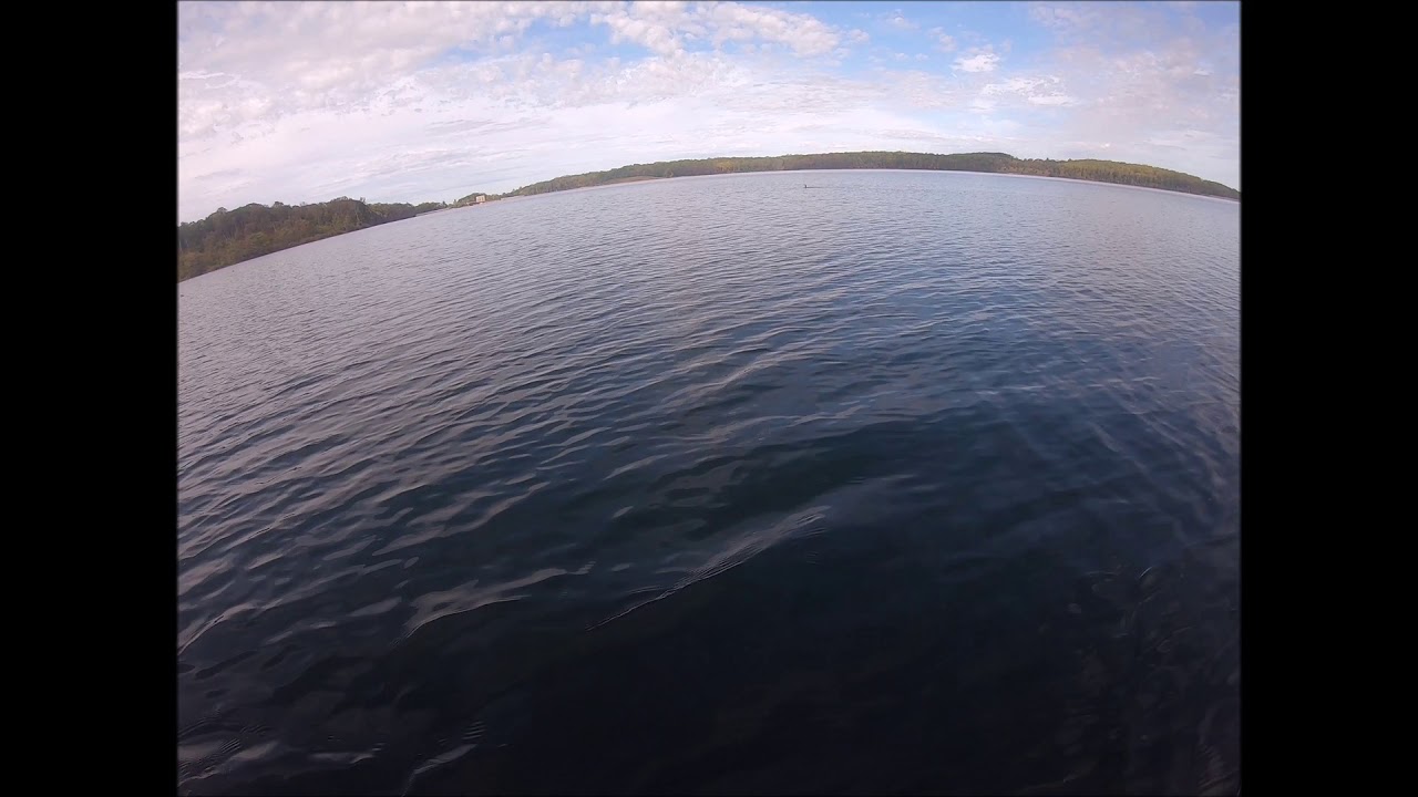Chasing Loons at Merrill Creek - YouTube