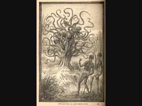 Cryptids and Monsters: The Man-Eating tree, large carnivorous plants ...