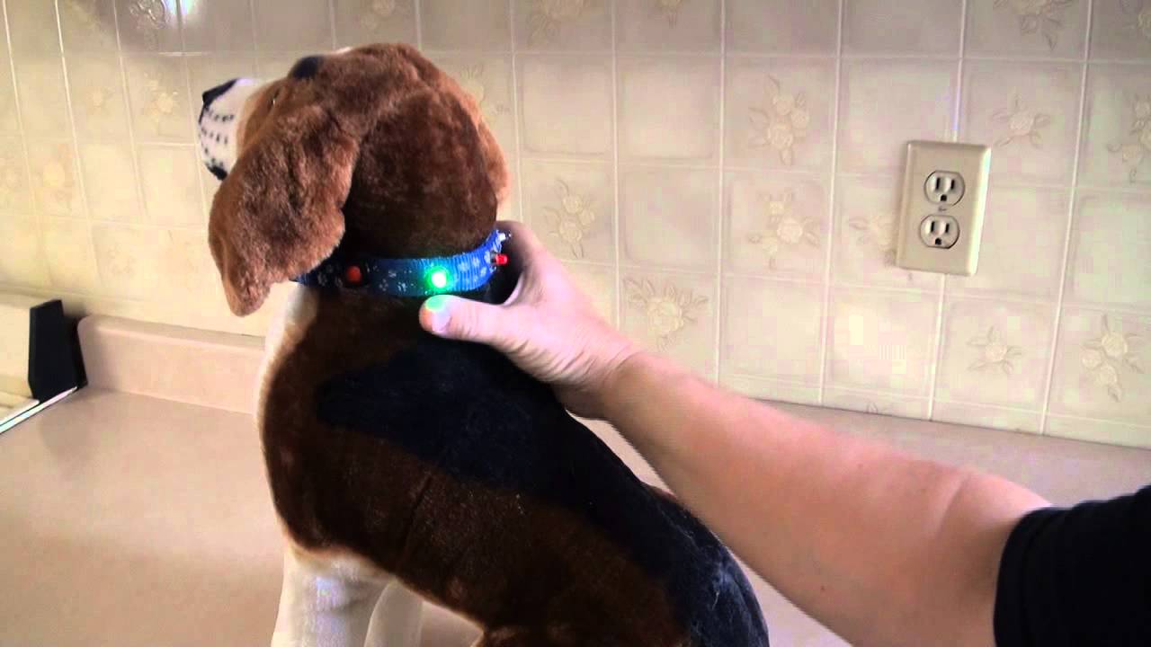 Vortex Ghost Gear Beagle Trigger Prop - YouTube