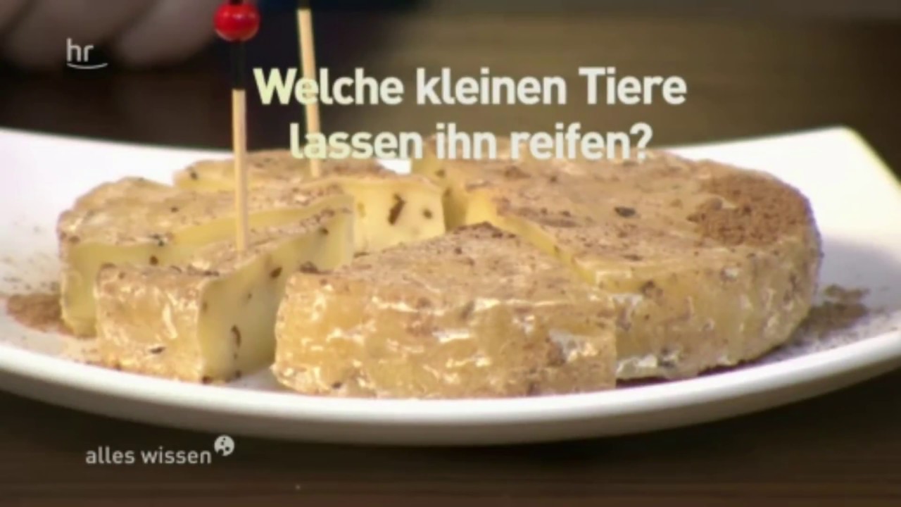 Würchwitzer Milbenkäse: Käsequiz im hr fernsehen - YouTube