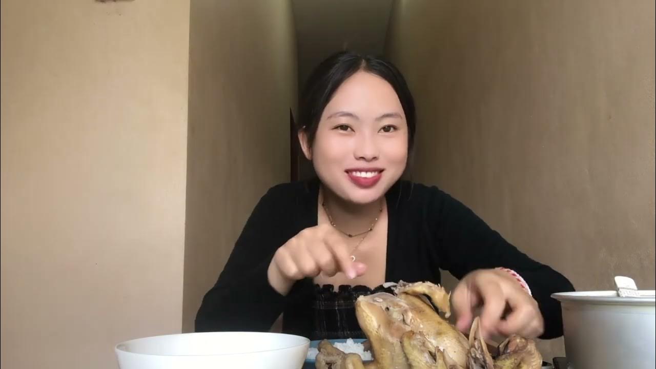 Nyb Zoo Hnub No Rov qab Los Noj qaib Tsaws Tshuaj dua os - YouTube