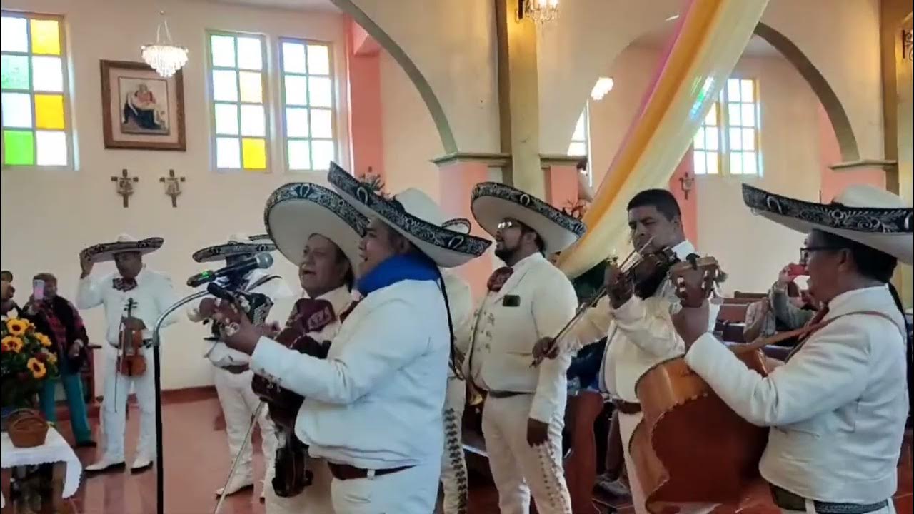 MARIACHI GALLOS DE ORO DE IRAPUATO TEMA: EL HERRADERO, 🎺🎻4621902846 y ...