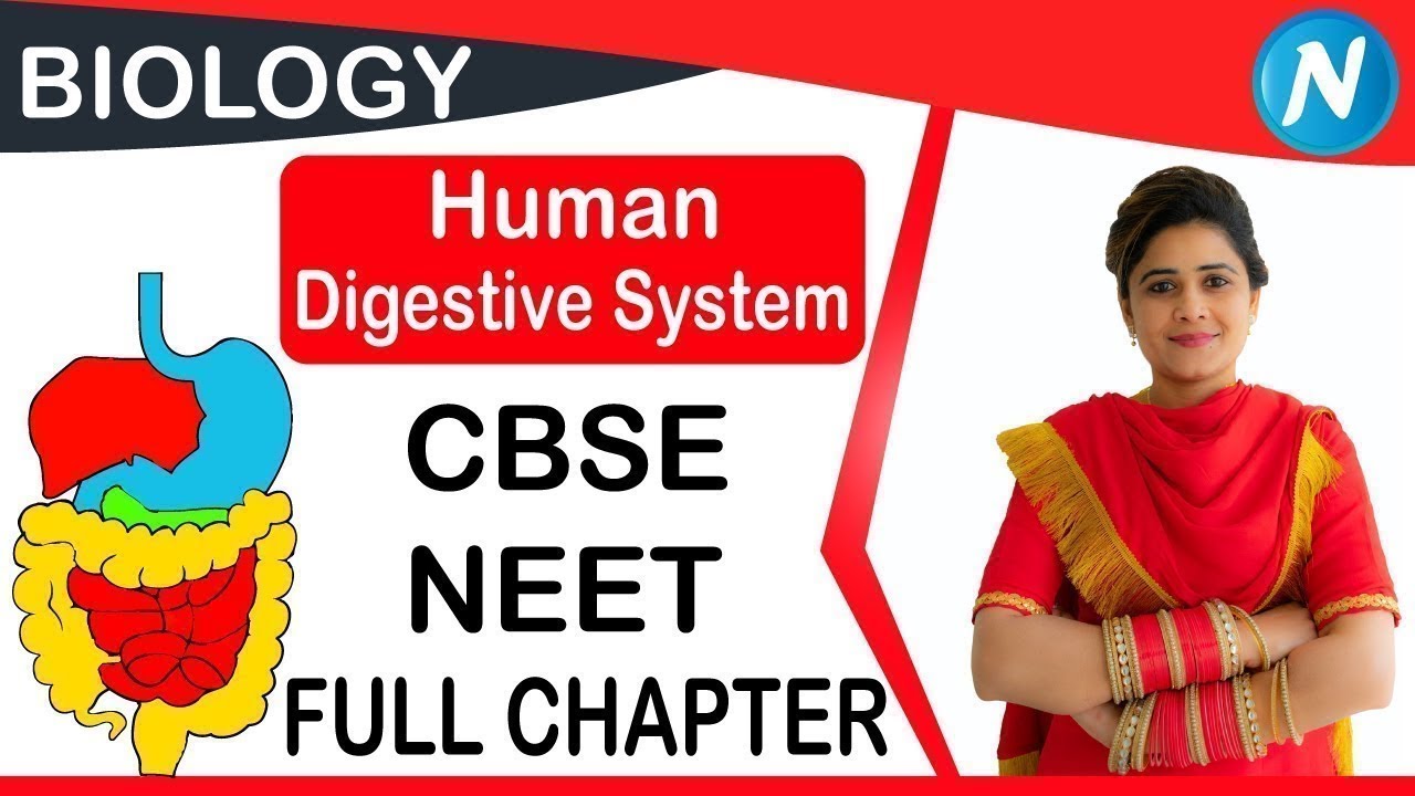 Human Digestive System Parts and Functions |CBSE CLASS 10, 11| NEET ...
