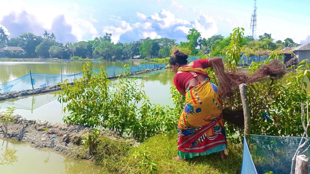 Best net fishing - village girl catching fish With a cast net by pond ...