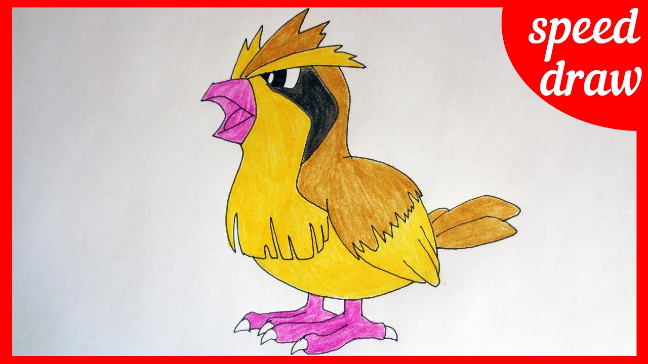 Speed draw pokemon Pidgey - YouTube