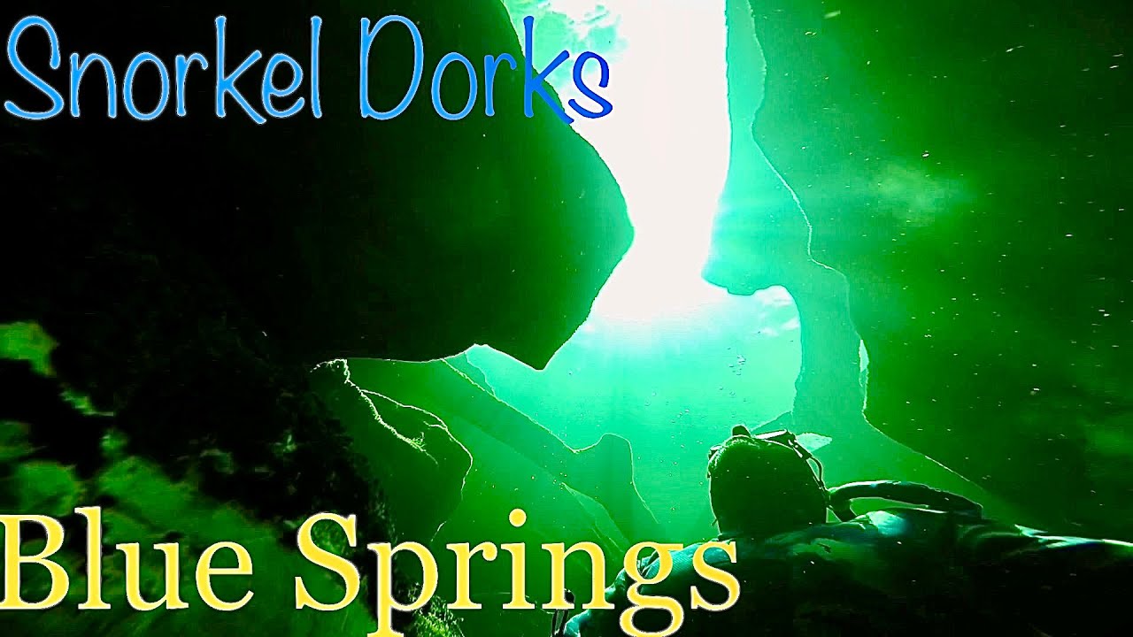 Blue Springs State Park, one of the most amazing dive spots!!!!! # ...